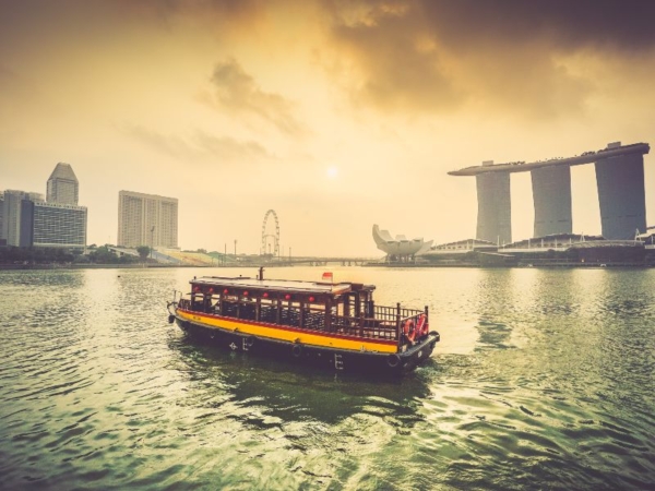 How do I renew my Dependent Pass?